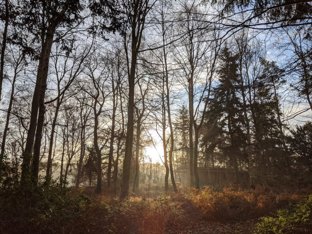 Fritton Lake Ownership | Fritton Lake