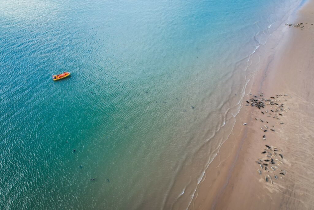 Holiday experiences Norfolk | Fritton Lake