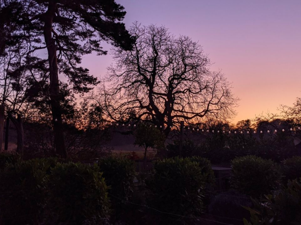 Fritton Lake Ownership | Fritton Lake