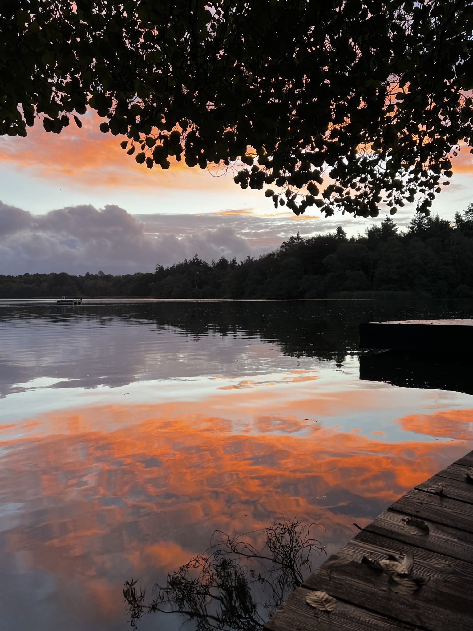 Pre-owned and refurbished cabins - Fritton Lake